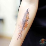 Unleashing the Majestic: The Symbolism and Beauty of Hawk Feather ...