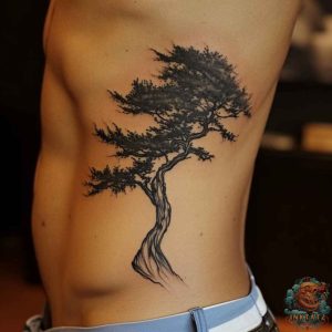 Capturing the Mystique: Exploring the Timeless Beauty of Cypress Tree ...