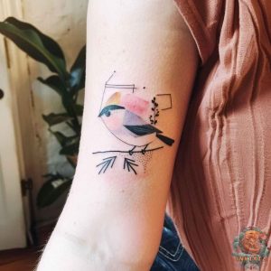 From Flight to Forever: Exploring the Symbolism of Finch Tattoos: 136 ...