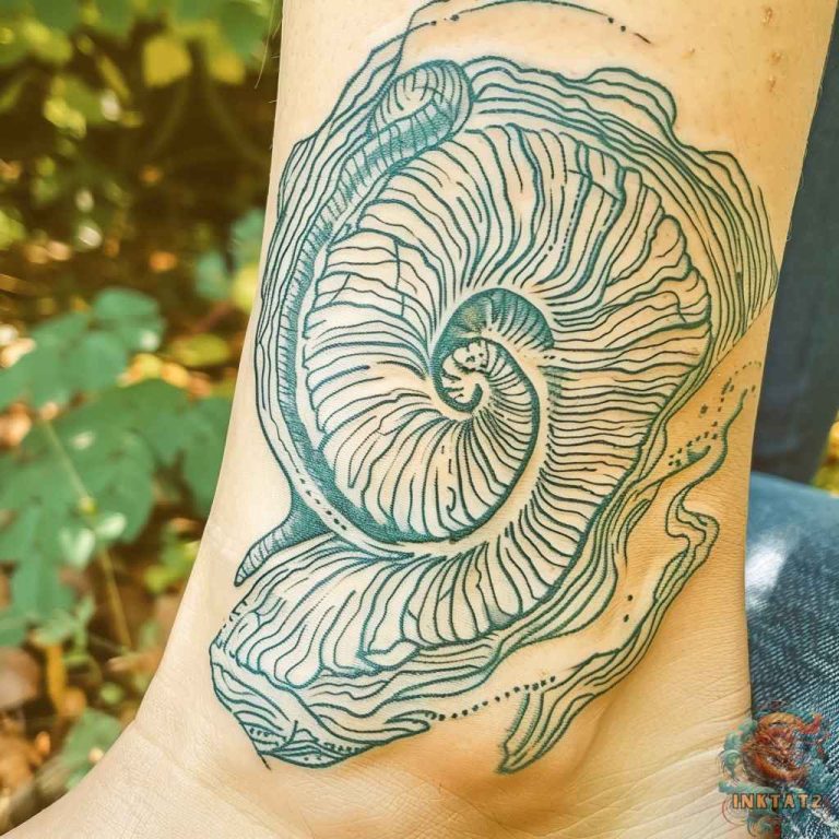 Uncovering the Mysteries: The Fascinating World of Ammonite Tattoos ...