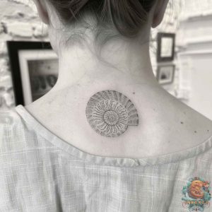 Uncovering the Mysteries: The Fascinating World of Ammonite Tattoos ...