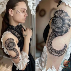 Uncovering the Mysteries: The Fascinating World of Ammonite Tattoos ...