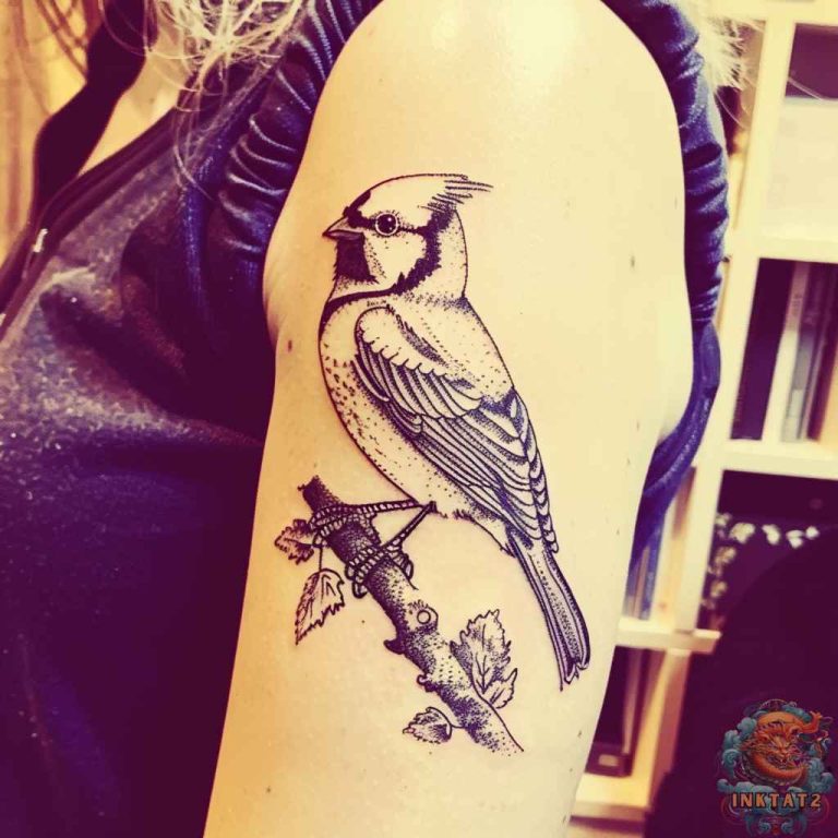 Feathers of Freedom: Exploring the Symbolism and Beauty of Blue Jay ...