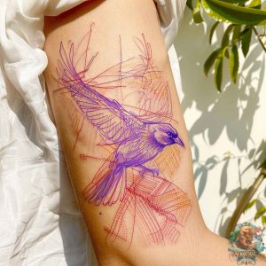 Feathers of Freedom: Exploring the Symbolism and Beauty of Blue Jay ...