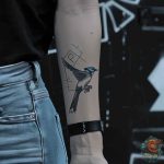 Feathers of Freedom: Exploring the Symbolism and Beauty of Blue Jay ...